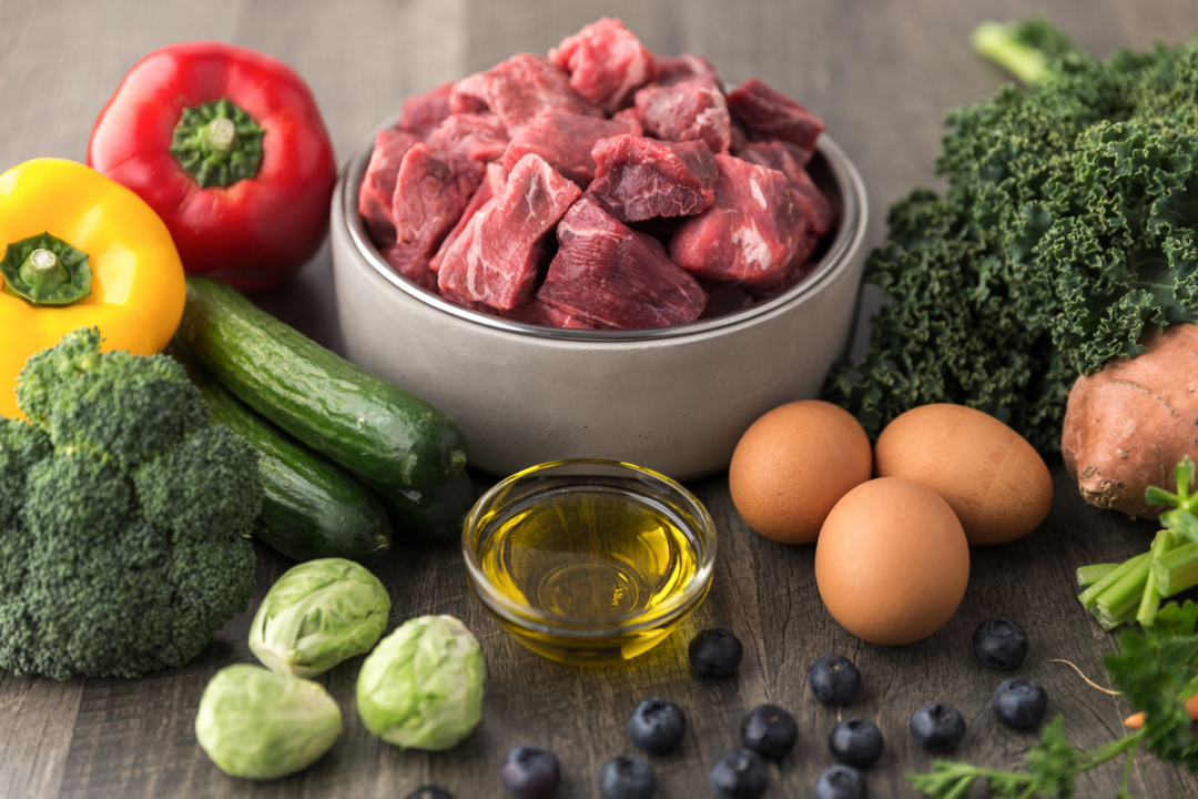 The Ultimate Guide to Foods Australian Shepherds Can (And Can't) Eat