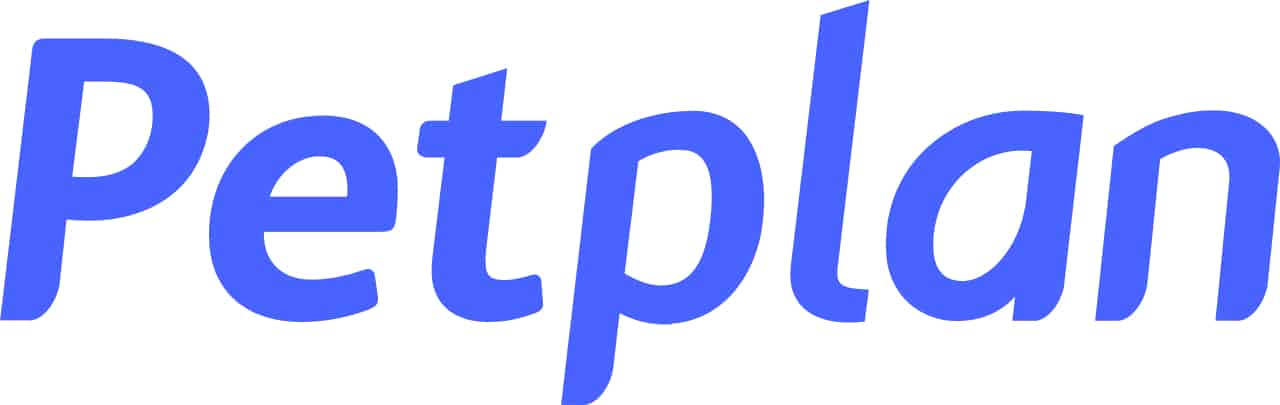 5 Best Pet Insurance Companies of 2025 (Our Top Picks!)