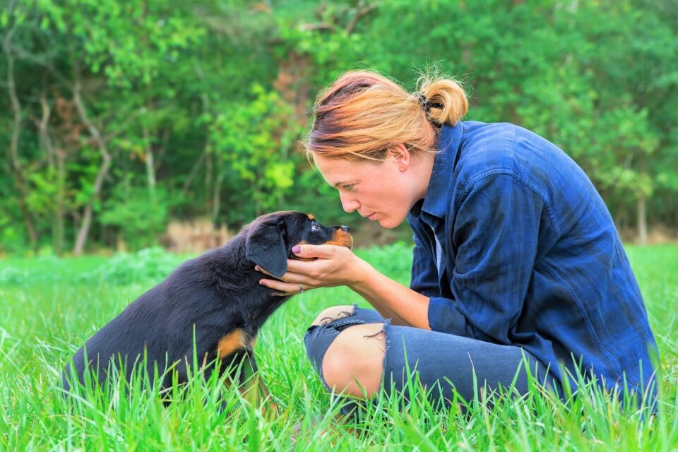 10 Best Rottweiler Rescues for Adoption (2025): Our Top 10 Picks!