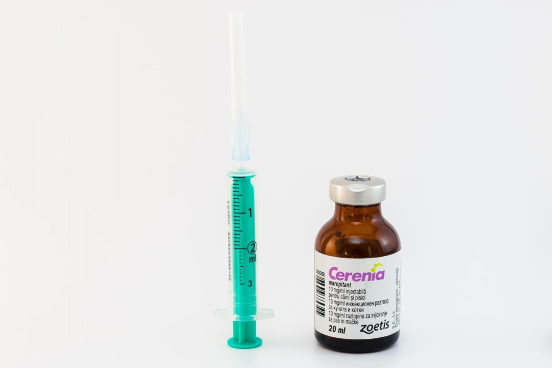 Cerenia Killed My Dog? - Everything You Need to Know