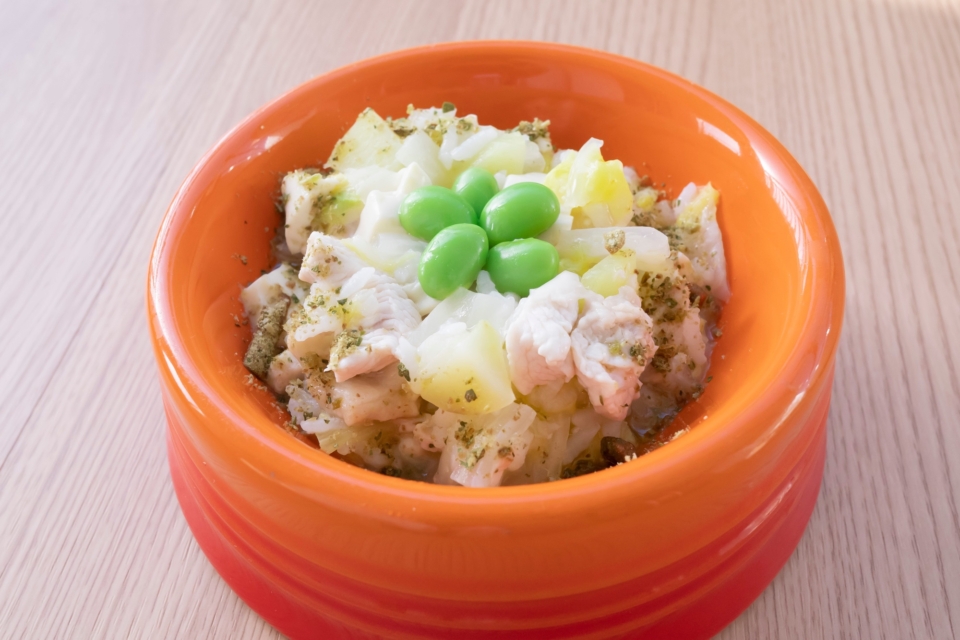 How Much Chicken and Rice to Feed Your Sick Dog?