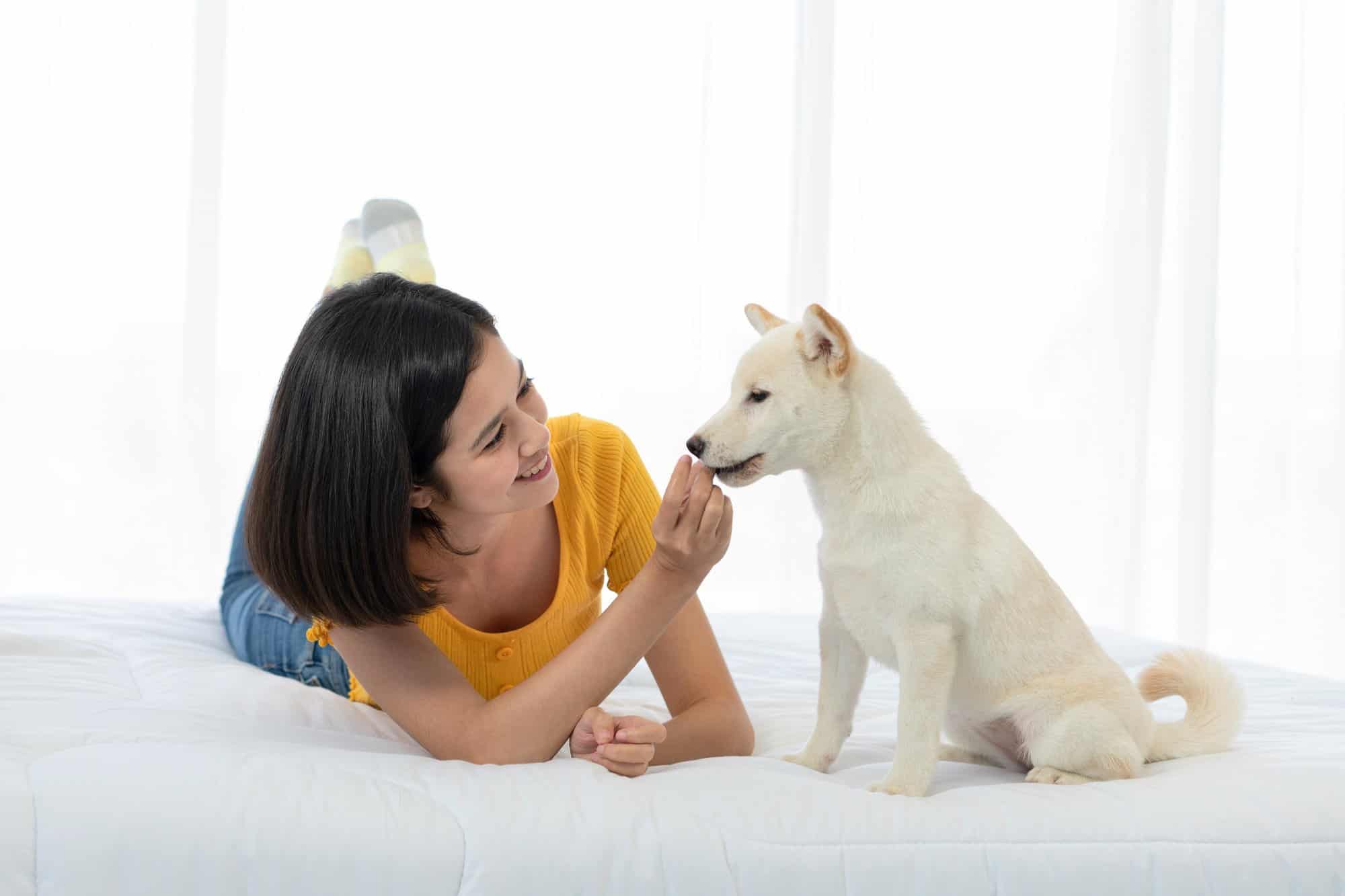 How Much to Feed a Shiba Inu (Puppy & Adult Feeding Chart)