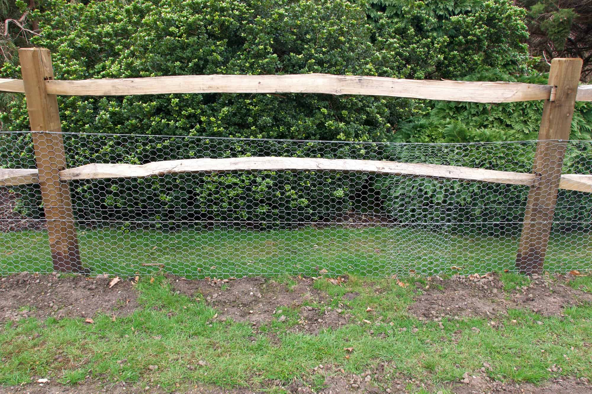 How to Build a Chicken Wire Dog Fence (8 Easy Steps)