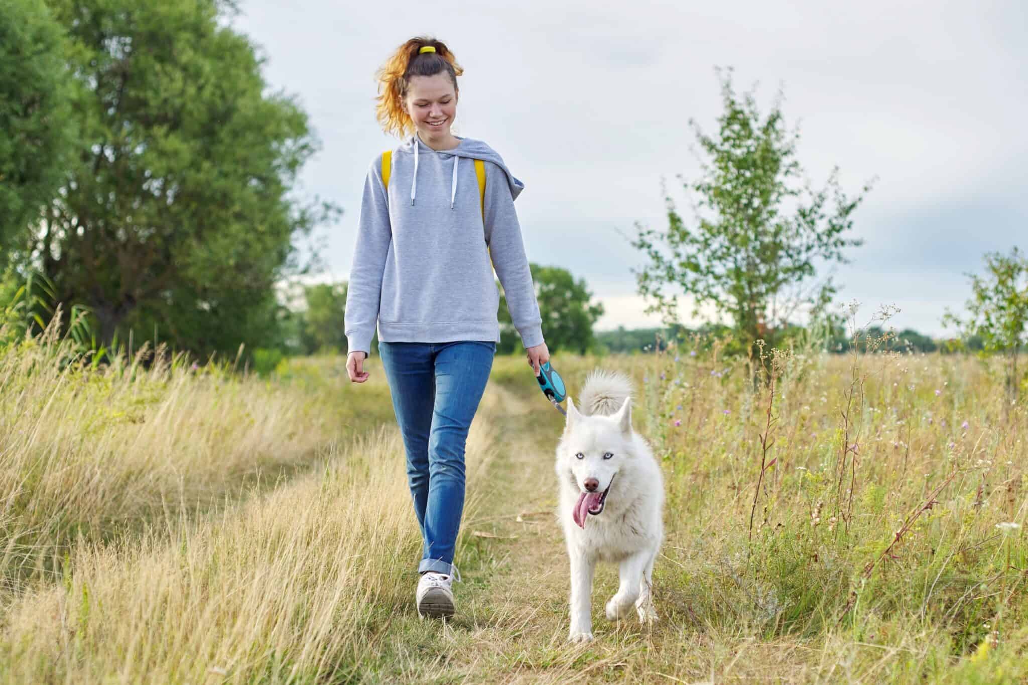 White Husky: Facts, Genetics, Traits & FAQs (With Pictures)