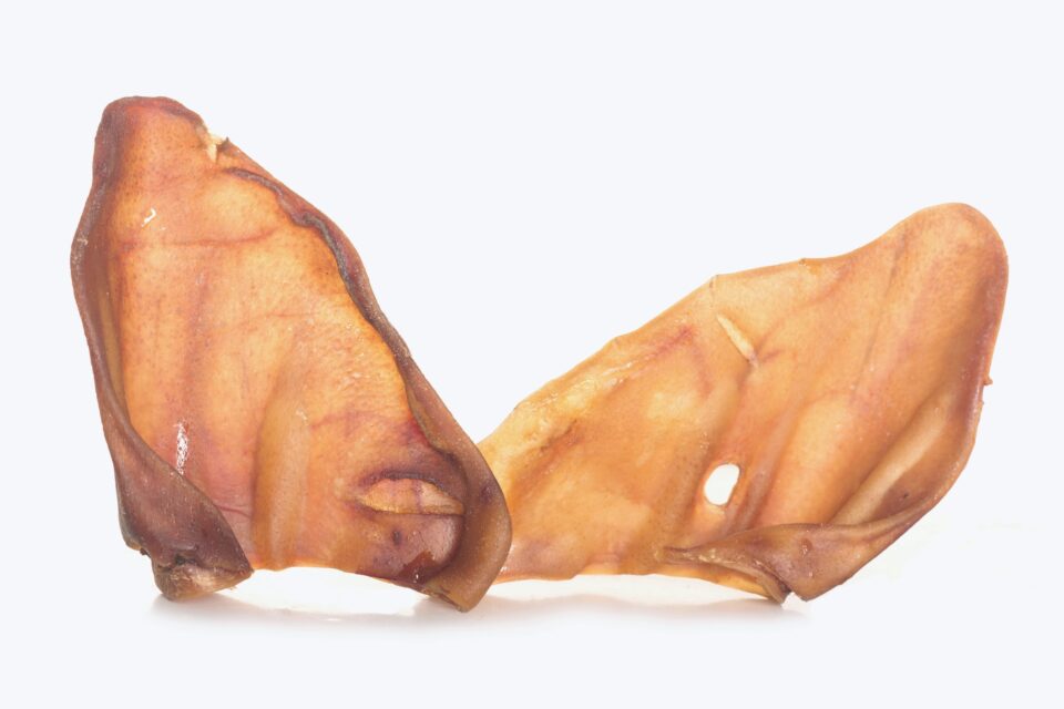 Are Pig Ears Good for Dogs? Everything You Need to Know