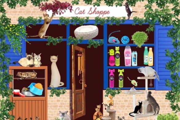 Bubbly Pet - Making Your Pets Happier and Healtier