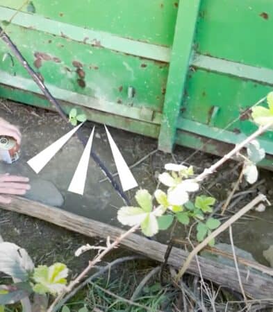 Tiny Puppy Stuck Under Shipping Container Won't Eat Until She Finds ...